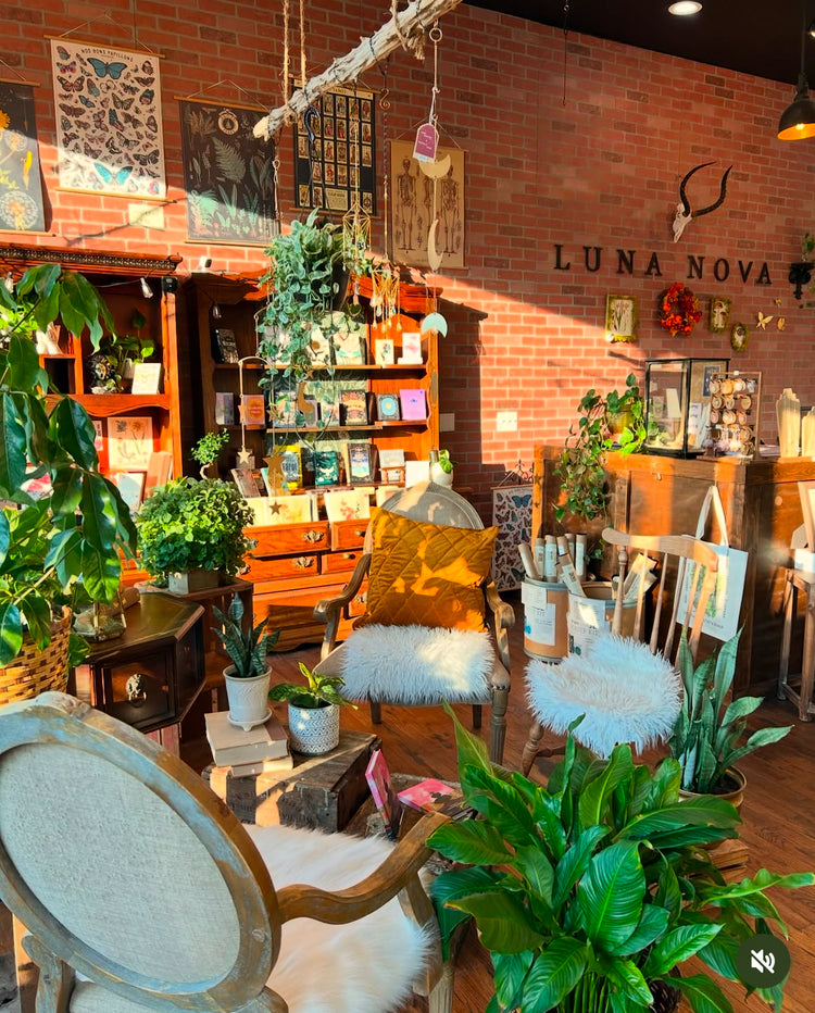 Nature Boutique Spiritual Store / LUNA NOVA SHOP